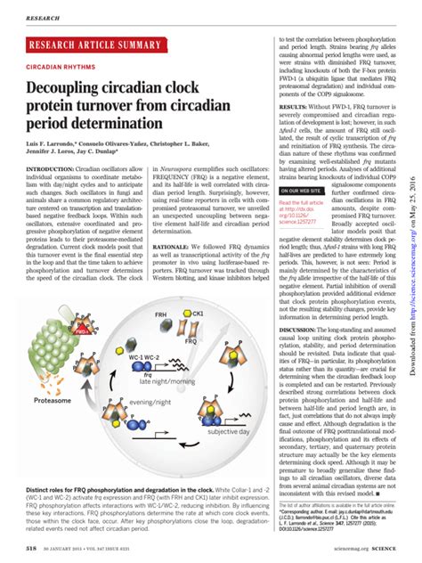 Decoupling Circadian Clock Protein Turnover From Circadian Period
