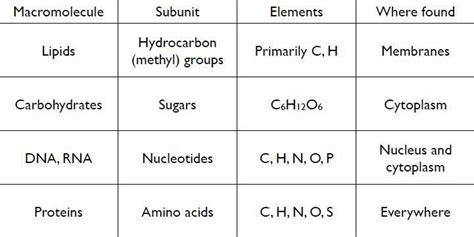 Willow Books Chapter