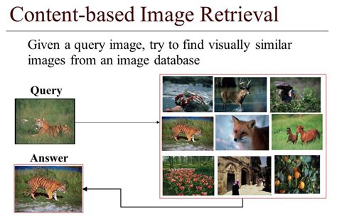 Introductory Guide To Information Retrieval Using Knn And Kdtree