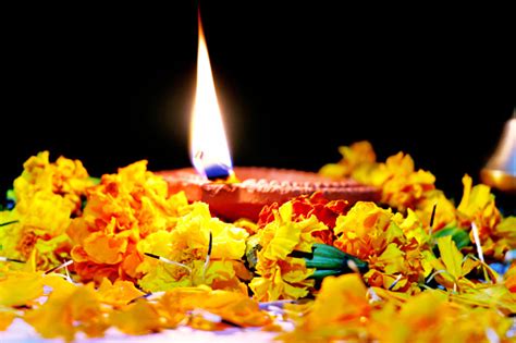 디왈리 디야 인도의 디파발리 디파왈리 의 축제 행사에 아름답게 장식된 오일 램프 0명에 대한 스톡 사진 및 기타 이미지 0명 개념 개념과 주제 Istock