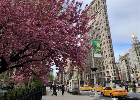 21 Most Beautiful Places In New York City That Are A Must Visit The