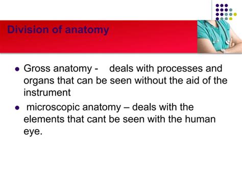 Human Anatomy Introduction PPTX Biological Sciences Science