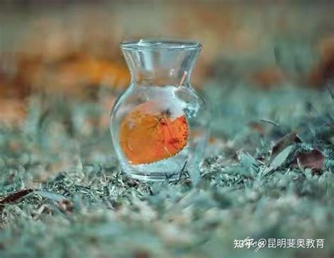 为自己负责成就你人生的光 知乎