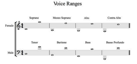 Introducing The Voice Types By Paruğ Demircioğlu Medium