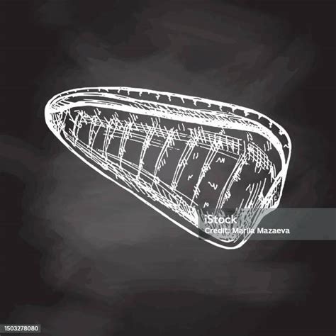 조개껍데기 조개 소라 고라의 흰색 스케치를 손으로 그렸다 가리비 조개껍데기 칠판 배경에 분리된 스케치 스타일 벡터 그림 가리비에