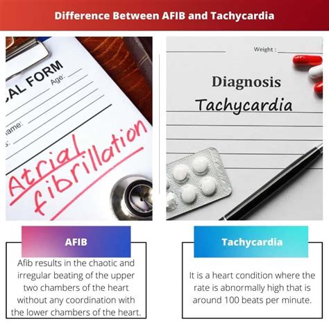 Afib Vs Takikardia Perbedaan Dan Perbandingan