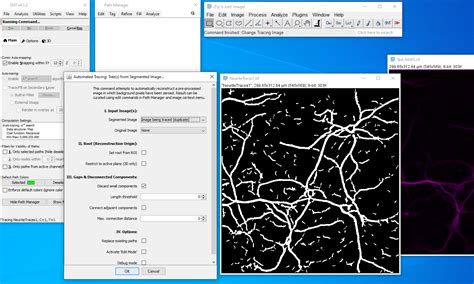 SNT Issue With Tracing Image Selection Usage Issues Image Sc Forum