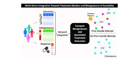 Conceptual Overview Of Multi Omics Integration Analysis Towards Download Scientific Diagram