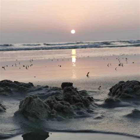 Michael Yuan 袁承博