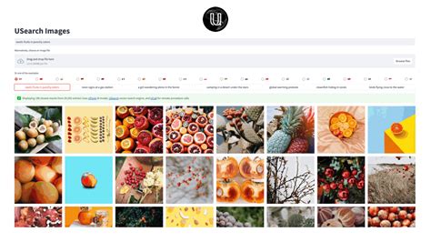 Usearch · Pypi Usearch · Pypi