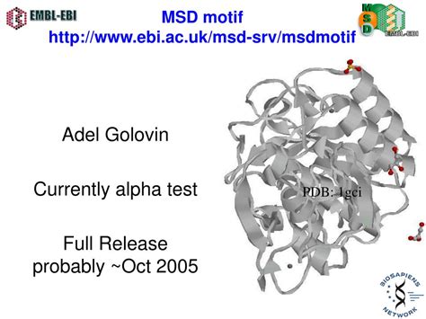 Ppt Extracting And Exploiting Structural Patterns In Proteins Especially Relating To Function