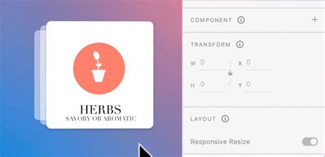 Adobe XD چیست و چه کاربردی دارد