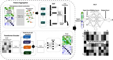Igattlda Integrative Graph Attention And Transformer‐based Model For