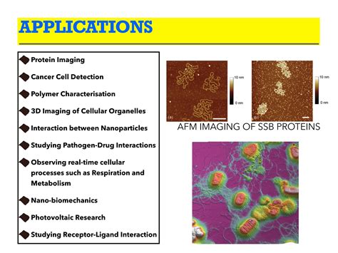 Amannanavaty Report Atomic Force Microscopypdf