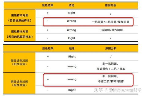 超全攻略 ！一文理清免疫荧光实验步骤、技巧及疑难问题 知乎