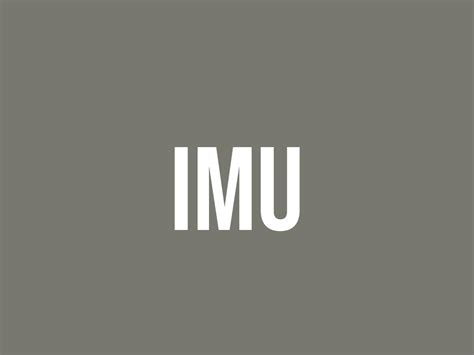 What Does Imu Mean Meaning Uses And More Fluentslang