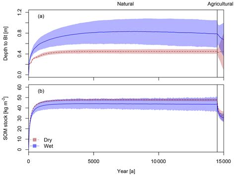 SOIL Evolutionary Pathways In Soil Landscape Evolution Models