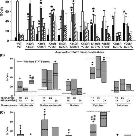 Specific Asymmetric Signal Transducer And Activator Of Transcription 3 Download Scientific