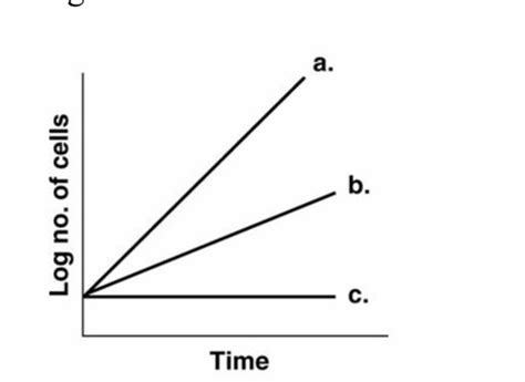Chapter 6 Flashcards Quizlet