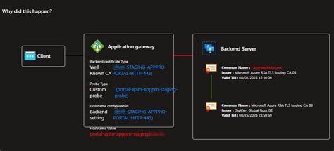 Apim Issue Creating Developer Portal Custom Domain Microsoft Qanda