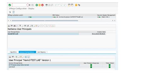 How To Integrate Amazon Workspaces With Sap Single Sign On Aws For Sap