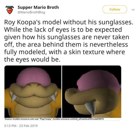 Mariobrothblog Roy Koopas Model Without His Sunglasses While The