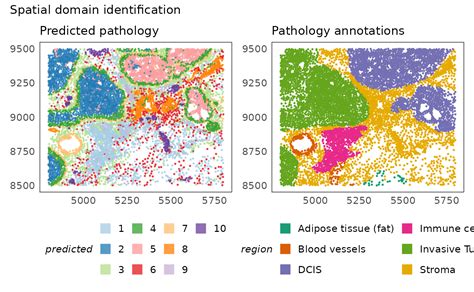 Introduction To Imaging Based Spatial Transcriptomics Analysis 10x