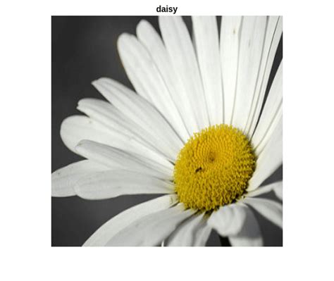 Train Vision Transformer Network For Image Classification Matlab And Simulink