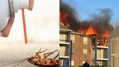 South Korea One Dies As Woman Trying To Kill Cockroach Sets House On