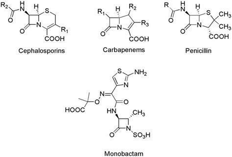 Structure Of Commonly Used B Lactam Antibiotics Download Scientific