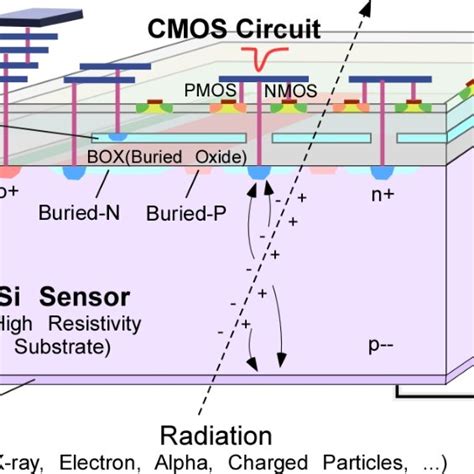 Schematic Structure Of The DSOI Pixel Detector Download Scientific Diagram