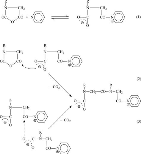 Scheme 1 Pyridine Initiated Polymerization Of Sar Nca Download