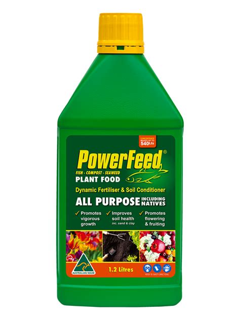 Aphids Treatment Prevention And Control Measures Seasol