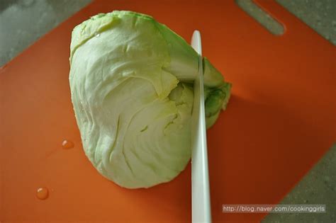 양상추 양배추 차이 도대체 뭔지요 네이버 블로그