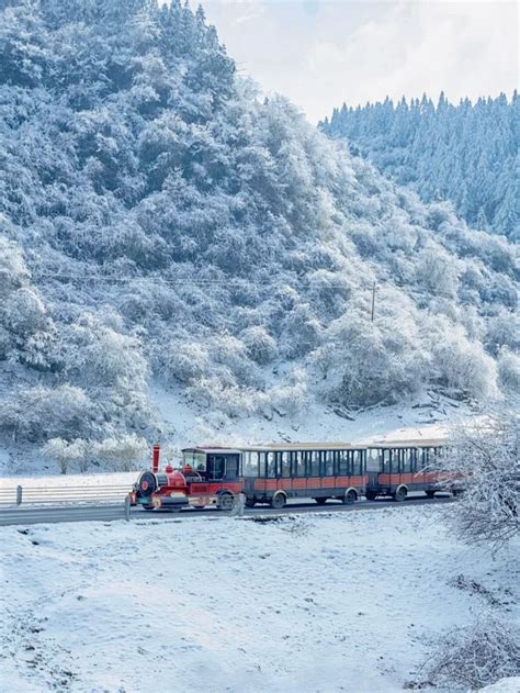 雪国列车去漠河看极光，23年童话世界预售1蜜桃假期旅行甄选来自小红书网页版 花瓣网