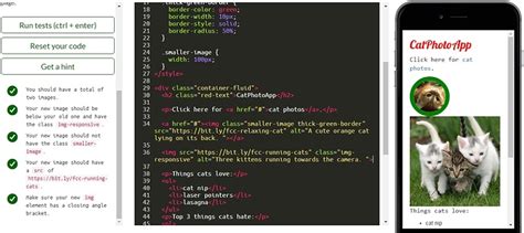 freecodecamp challenge guide make images mobile responsive guide the freecodecamp forum