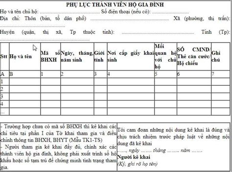 Cách Ghi Tờ Khai Tham Gia điều Chỉnh Thông Tin Bảo Hiểm Xã Hội Bảo Hiểm Y Tế