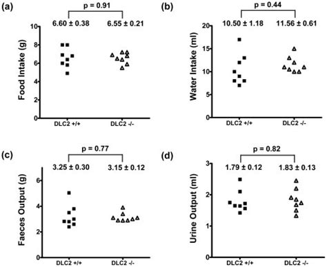 A Food Intake B Water Intake C Feces Output And D Urine Download Scientific Diagram