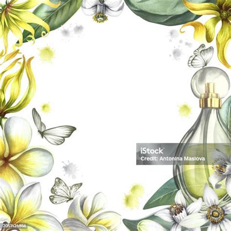 플루메리아 프랜지파니 오렌지 블라썸 일랑일랑의 향수 꽃이 있는 프레임 빈티지 섬세한 프레임 와 열대 꽃 나비 손으로 그린 수채화
