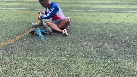 លក់សេកហុងកុង Home