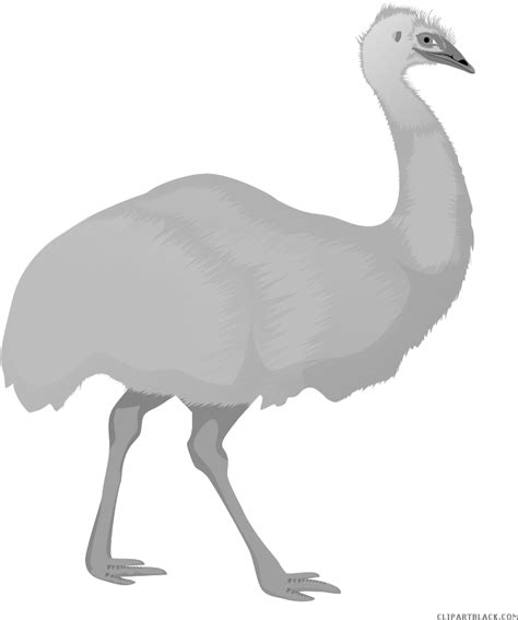 Download Emu Illustration Graphic