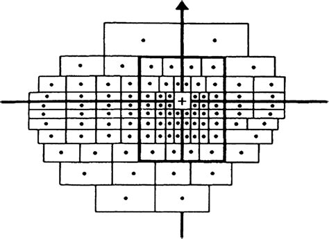 Estermans Monocular Grid Reprinted From Esterman 33 With Permission
