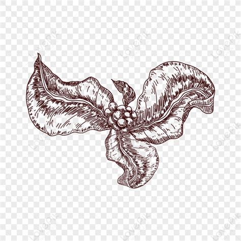 흑인과 백인 선 그리기 커피 콩 과일 일러스트 그림 요소삽화 Png 일러스트 무료 다운로드 Lovepik