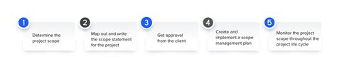 what is project scope replicon