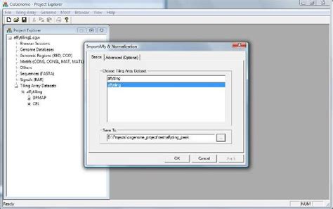 Tiling Array Analysis 2