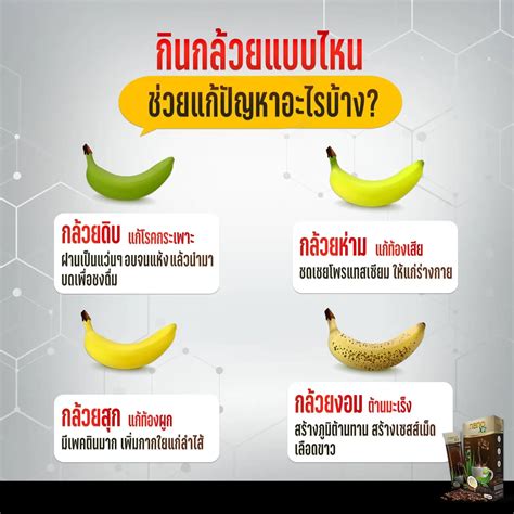 กินกล้วยแบบไหน ช่วยแก้ปัญหาอะไรบ้าง แกลเลอรีที่โพสต์โดย กาแฟเพื่อ