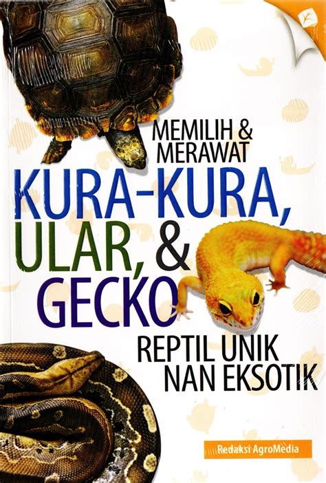 10 Jenis Kura Kura Yang Bisa Jadi Hewan Peliharaan Gramedia