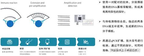 技术介绍丨一文带您了解体液类样本研究利器—olink靶向蛋白质组学，值得收藏！ 知乎