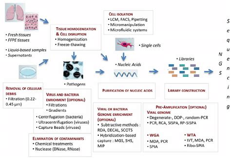 Flow Chart Of Sample Processing For Ngs Of Pathogen Samples Download