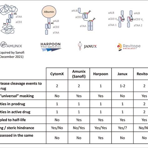 Conditionally Active T Cell Engager Various Approaches To